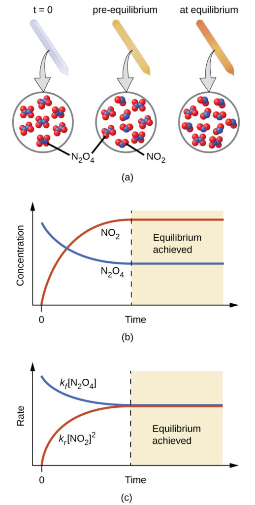 3.1 Microscopic and Macroscopic Aspects of Equilibrium – Principles of ...