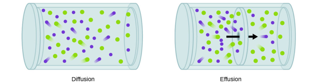 1.4 Graham’s Law of Diffusion and Effusion – Principles of Chemistry