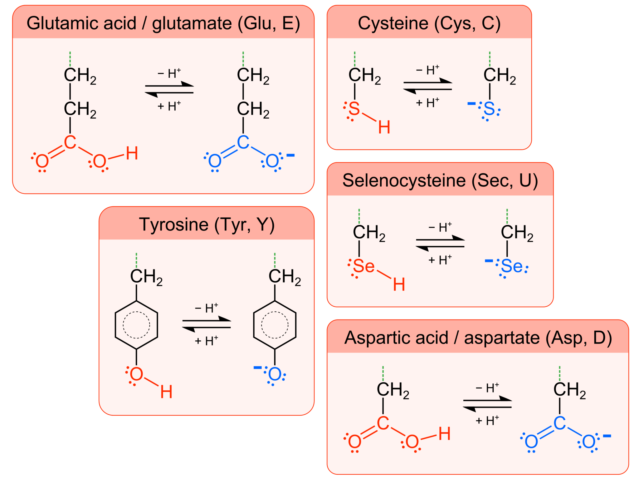 4.3 Polyprotic Acids and Bases – Principles of Chemistry