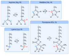 4.3 Polyprotic Acids and Bases – Principles of Chemistry