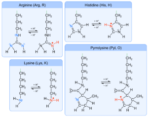 4.3 Polyprotic Acids and Bases – Principles of Chemistry