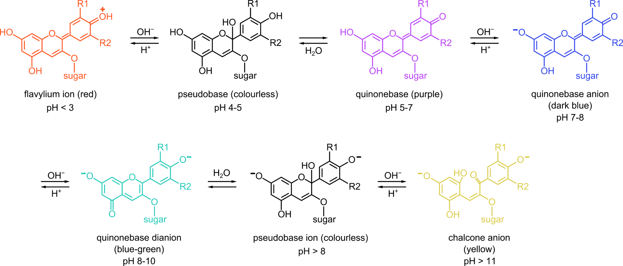 4.5 Acid-Base Titrations – Principles of Chemistry