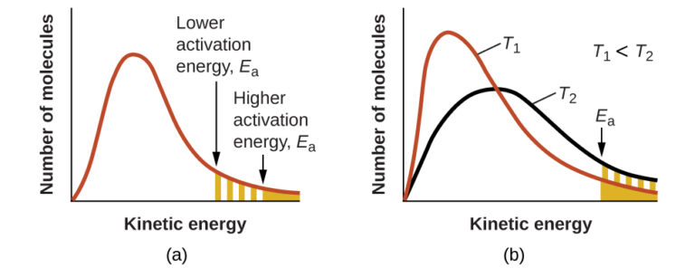 2.4 Temperature and Reaction Rate – Principles of Chemistry